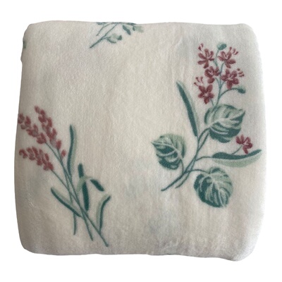 外贸尾单珊瑚绒印花款床单