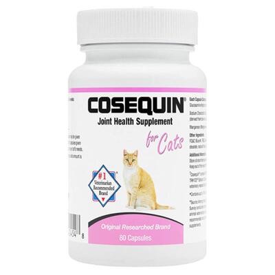 Cosequin软骨素氨糖折耳猫关节