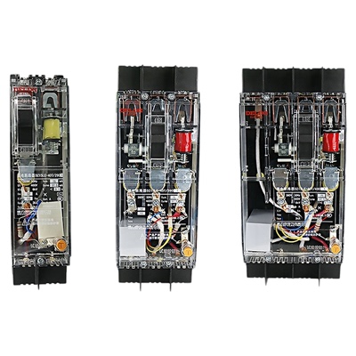 德力西DZ15LE透明总闸漏保断路器10-100A空气开关带漏电保护50MA