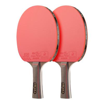 比赛竞技刘诗雯推荐专业拍双鱼