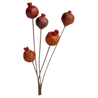 进口石榴干花真果实的高级感