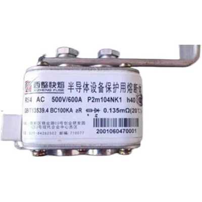 议价西整快熔 半导体设备保护用 RS4 AC 500V/600A P2m104NK1 h40