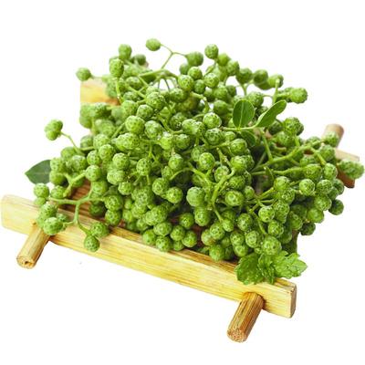 保鲜重庆花椒碧元珠厂家直销