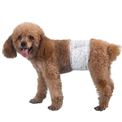 公狗纸尿裤防乱尿尿不湿