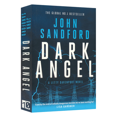 Dark Angel (The Letty Davenport series 2) 黑暗天使 青少年章节小说 英文原版进口图书