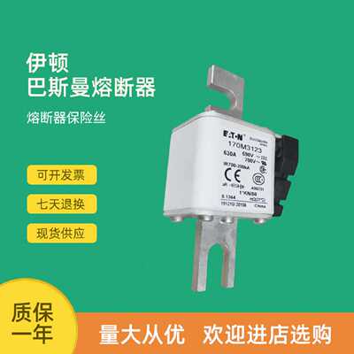 议价全新快速熔断器保险170M3158 170M3159 170M3160 170M3161