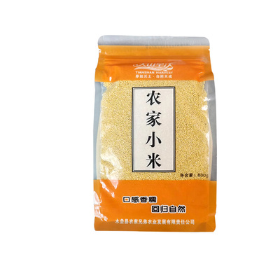 新疆天山雪水灌溉健康品质黄小米