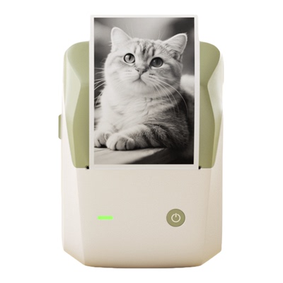 精臣B1Pro高清手机照片打印机