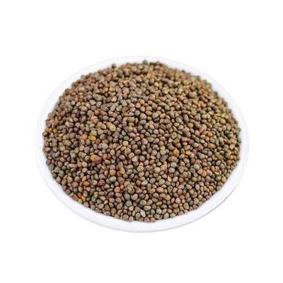 当季深山紫苏籽当季正品中药材泡