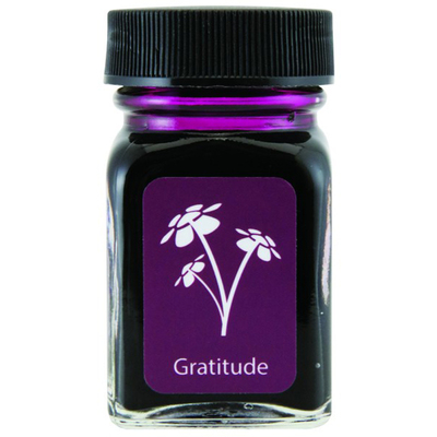 美国Monteverde钢笔墨水防水速干