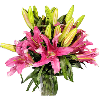 红百合鲜花插花北京同城凌晨花市