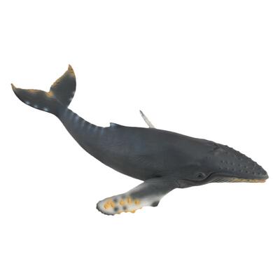 顺丰包邮【88347座头鲸】CollectA官方授权正版动物模型早教玩具