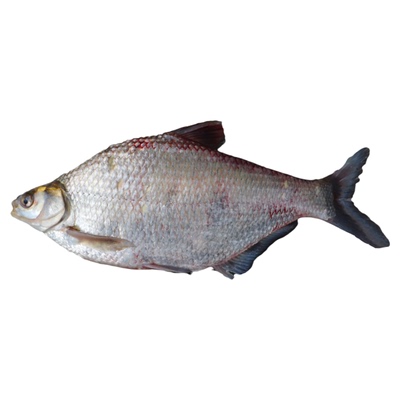 湖北武昌鱼农家原生态淡水鱼鳊鱼