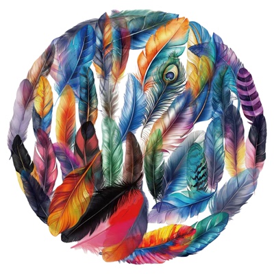 50张跨境柔软的羽毛PET贴纸包DIY