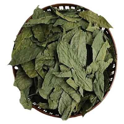 喝一杯高山古树青钱柳茶养生茶修水金钱柳绿茶嫩叶