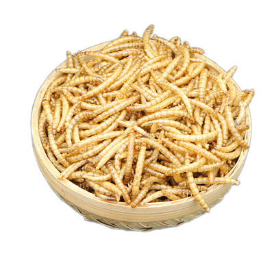 500G面包虫干仓鼠粮食黄粉虫干一