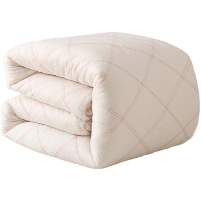 棉絮棉被棉胎棉被子被芯春秋冬被加厚10斤被褥子非纯棉生活保温被