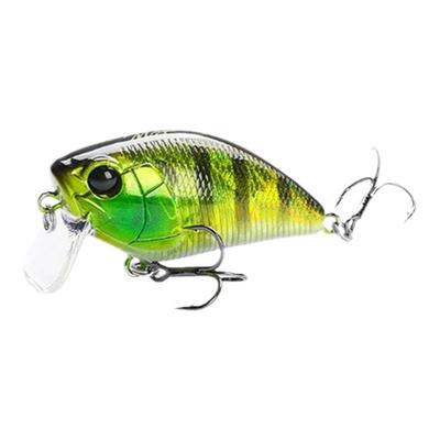 钓之屋摇滚小胖黑坑大口鲈专用饵