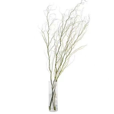 黄金龙柳绿植客厅水培植物