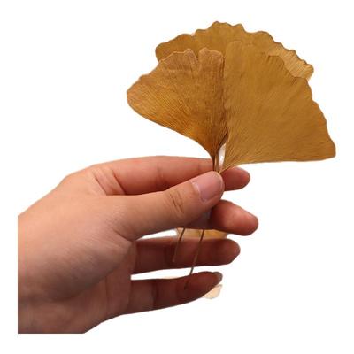 银杏树叶落叶贴画干树叶手工叶子