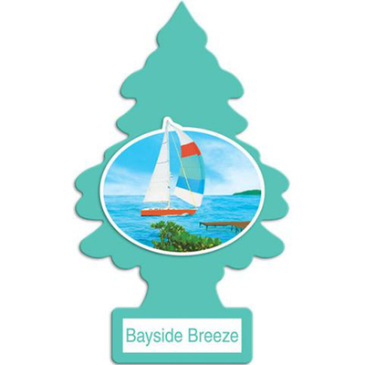 特价正品美国小树大香片买五送一