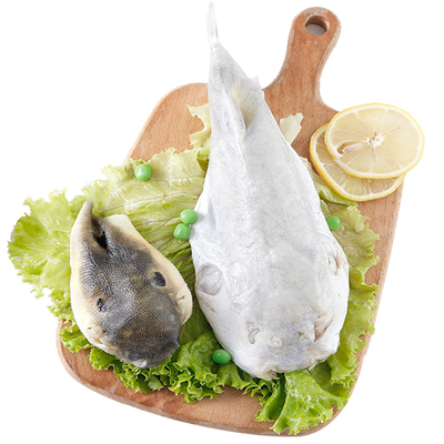 买二送河豚鱼特产速冻鲜鱼