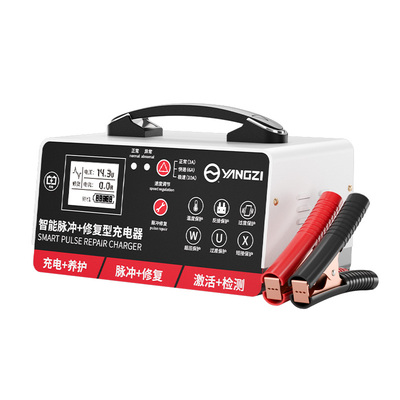 【行业热卖N0.1】扬子电瓶充电器