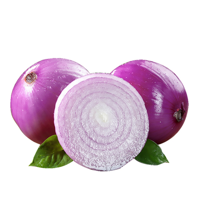 云南紫皮洋葱新鲜5斤水果生吃甜圆葱洋葱头当季农家蔬菜生吃圆葱