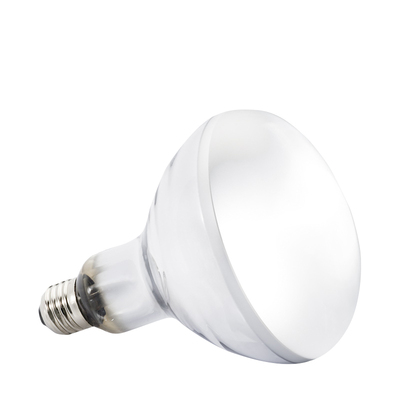 exo-terra希瑾爬虫uva补钙蜥蜴