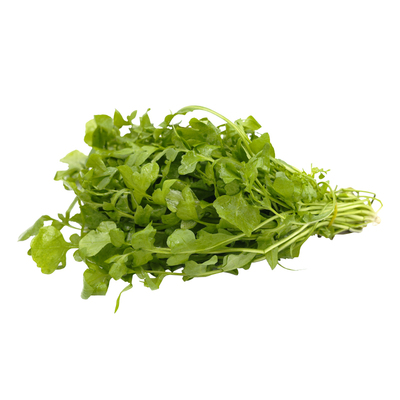 现挖本地荠菜野菜馄饨饺子馅食材