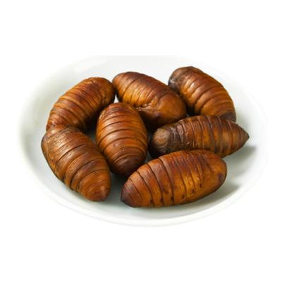 2024山东特产柞蚕蛹大黄蛹