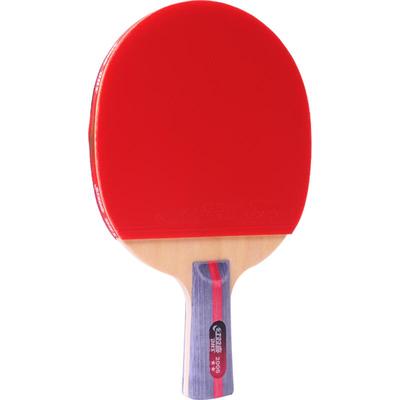 红双喜乒乓球拍DHS/红双喜