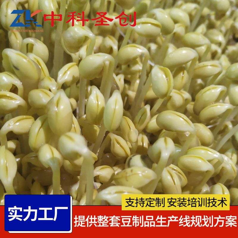 厂家供应豆芽机 大型全自动多功能商用豆芽机芽菜机 豆芽机价格