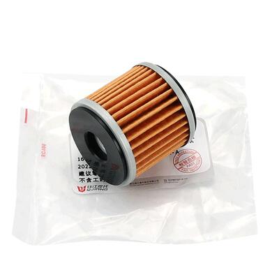 贝纳利幼狮250机滤空滤