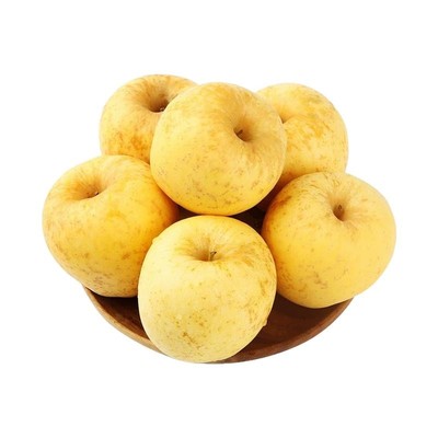 正宗烟台黄金维纳斯山姆供应商