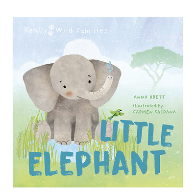 【现货】英文原版 小象的一天Little Elephant 精装艺术插画绘本 Really Wild Families 3-6岁动物故事 进口儿童图书 善优童书