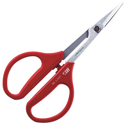 盆景日本原装进口爱丽斯