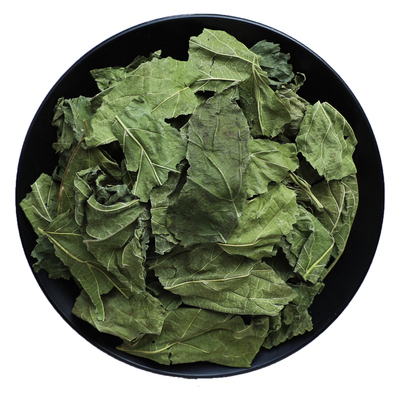 干桑叶茶冷库保鲜手工拣选中药材