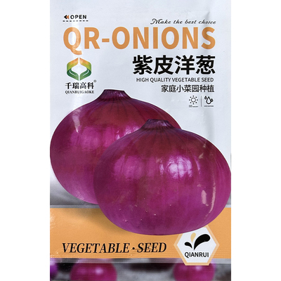 红皮洋葱种子紫皮种籽高产四季