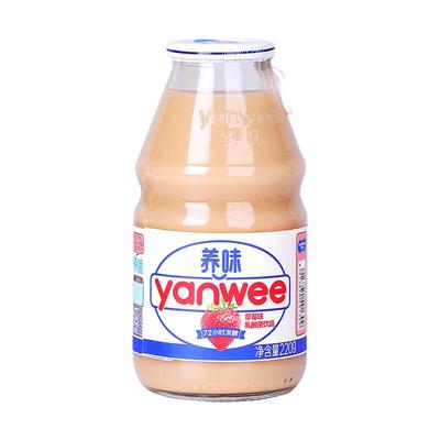 养味乳酸菌饮品72小时发酵