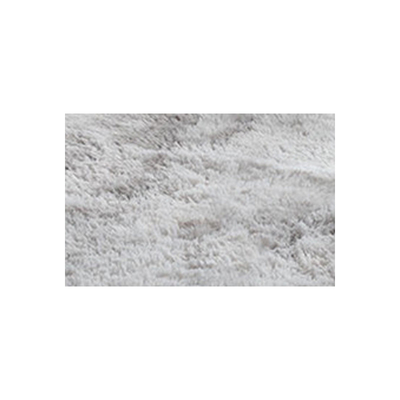 加厚柔软地毯卧室网红少女耐脏