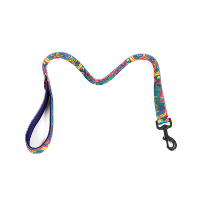 DODOPET狗狗牵引一拖二遛狗神器