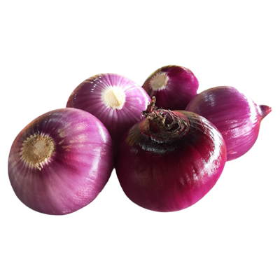 东升农场紫皮洋葱新鲜广州圆葱