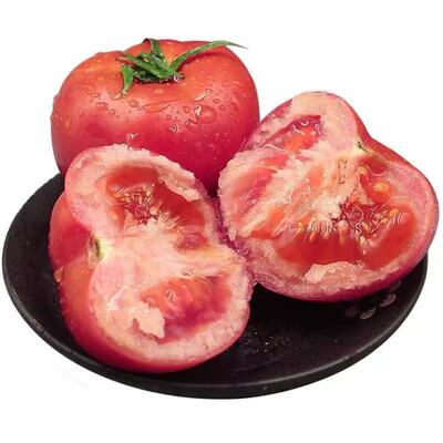 当季正宗普罗旺斯西红柿新鲜现摘沙瓤自然熟番茄水果整箱5斤生吃