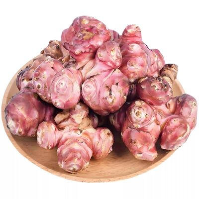 红洋姜新鲜野鬼子姜不辣农家蔬菜酱腌菜泡菜种姜菊芋现挖生洋姜