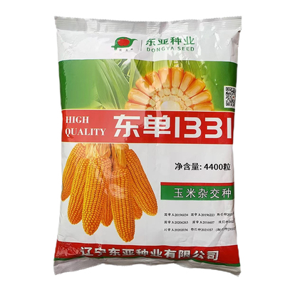 东单1331玉米种4400粒一袋3斤2两