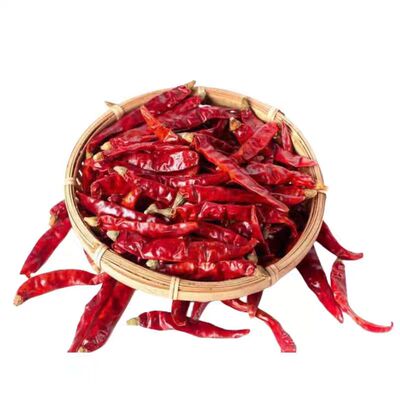 批发农家特辣超辣干辣椒