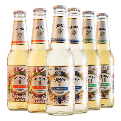 啤酒整箱24丹麦进口tempt诱惑