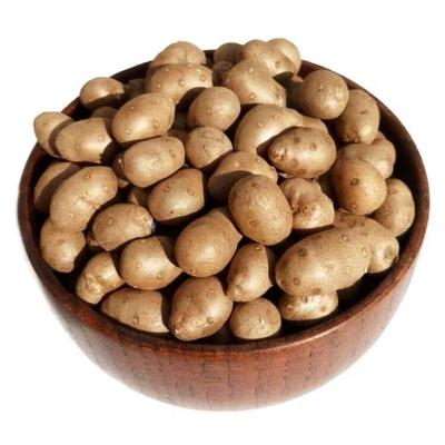 农家新鲜采摘铁棍山药豆冰糖葫芦用豆山药蛋地道优质产地直发现挖