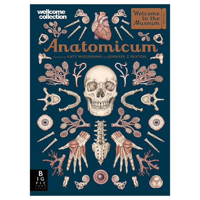 【现货】【欢迎来到博物馆】Anatomicum 解剖馆 精装大开本科普入门读物 英文原版青少年【善优童书】